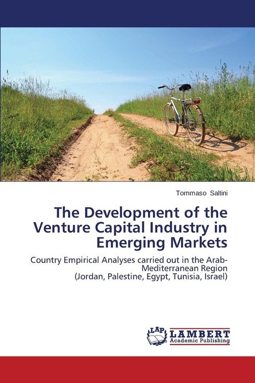 The Development of the Venture Capital Industry in Emerging Markets ...
