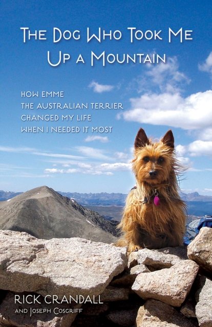 The Dog Who Took Me Up a Mountain. How Emme the Australian Terrier ...