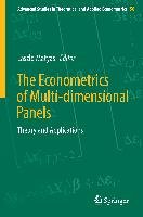 The Econometrics of Multi-dimensional Panels - Springer-Verlag Gmbh | Książka w Empik