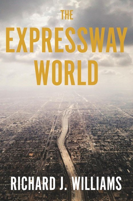 The Expressway World - Richard J. Williams | Książka w Empik