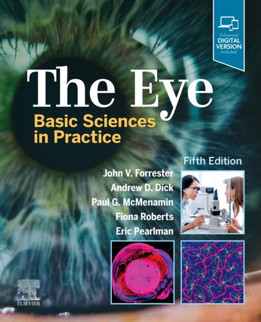 The Eye: Basic Sciences in Practice - Opracowanie zbiorowe | Książka w ...