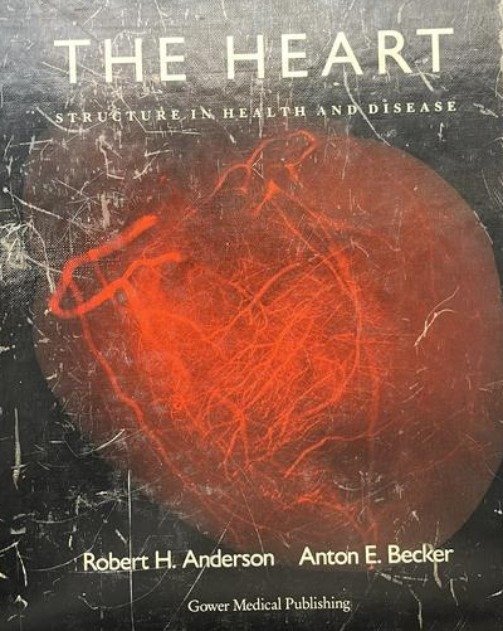 The heart - Robert Anderson | Książka w Empik