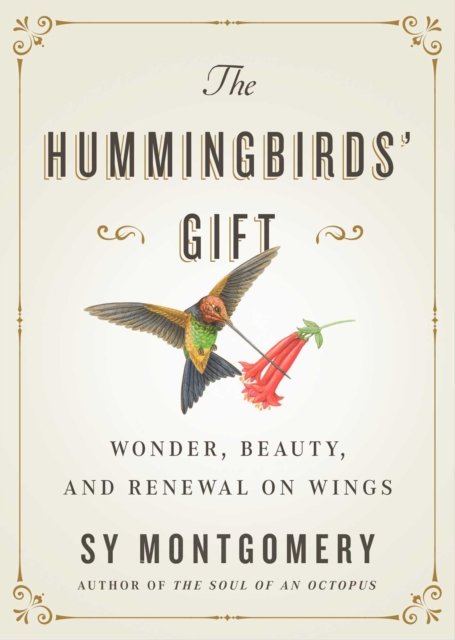 The Hummingbirds Gift: Wonder, Beauty, and Renewal on Wings ...