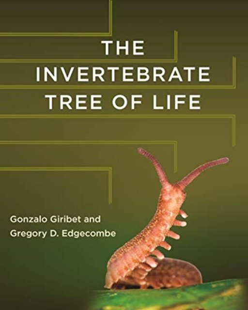 The Invertebrate Tree of Life - Opracowanie zbiorowe | Książka w Empik