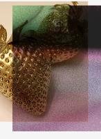 The Invisible Project - Pong Elodie | Książka w Empik