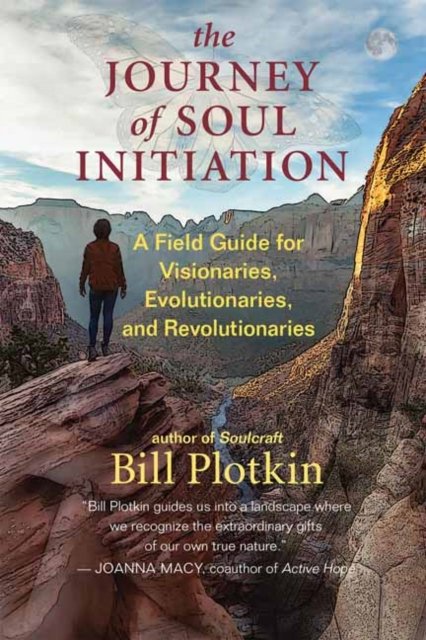 The Journey of Soul Initiation: A Field Guide for Visionaries ...