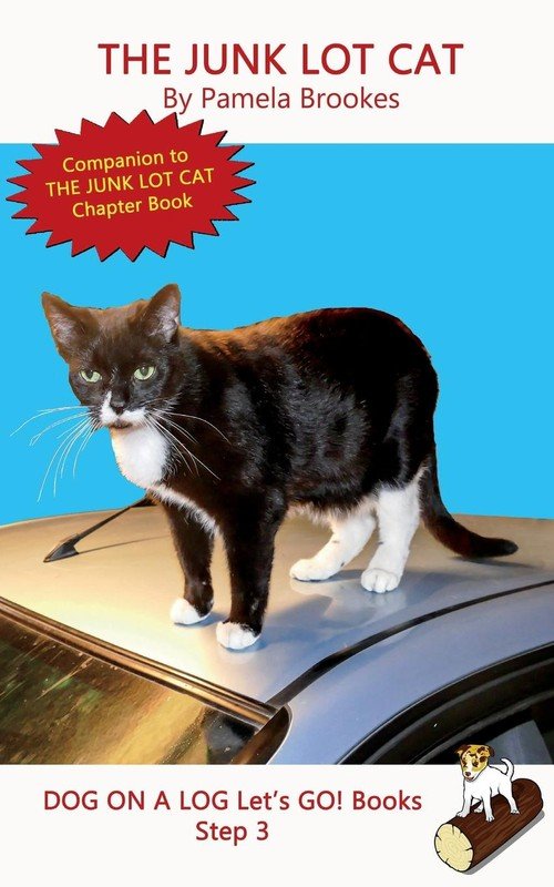 The Junk Lot Cat - Pamela Brookes | Książka w Empik