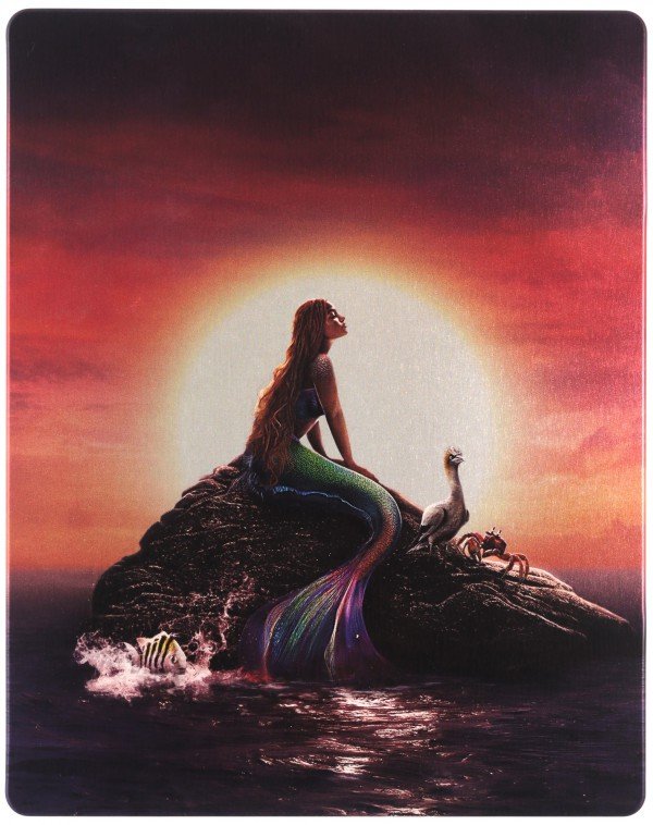 The Little Mermaid (Mała syrenka) (steelbook) - Various Directors ...