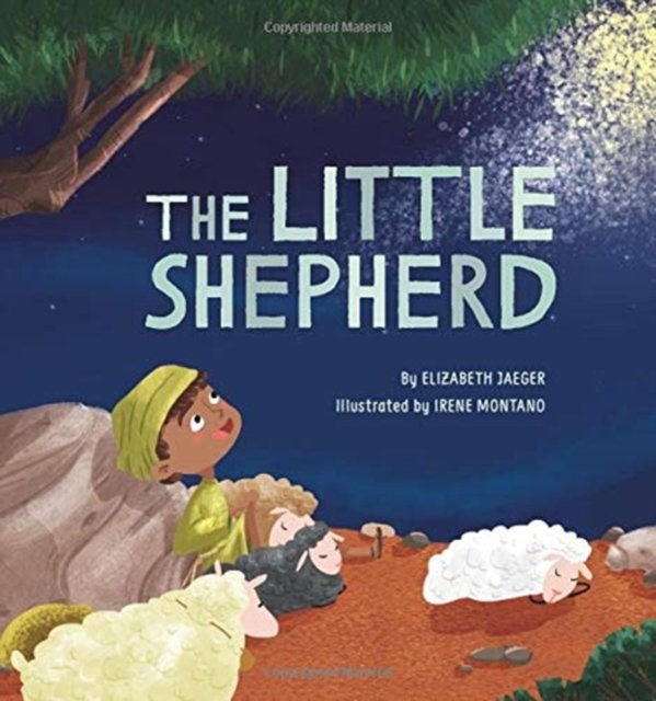 The Little Shepherd - Opracowanie zbiorowe | Książka w Empik