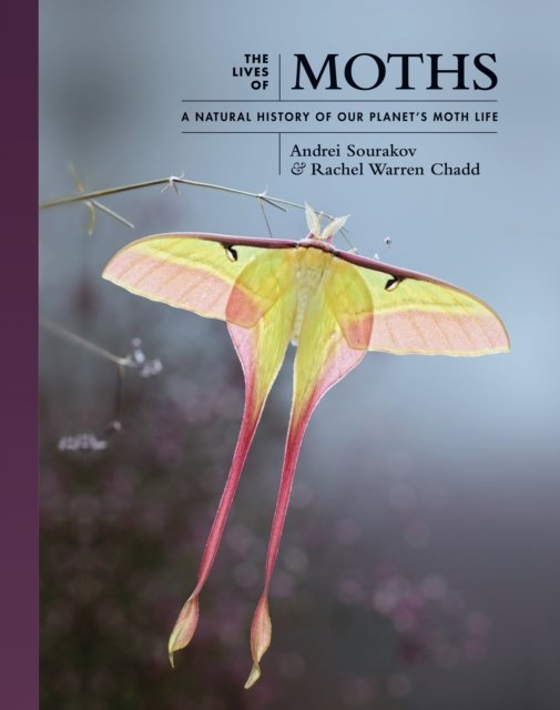 The Lives of Moths: A Natural History of Our Planets Moth Life - Andrei ...