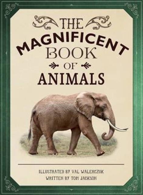 The Magnificent Book of Animals - Opracowanie zbiorowe | Książka w Empik