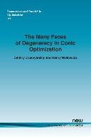 The Many Faces of Degeneracy in Conic Optimization - Drusvyatskiy ...