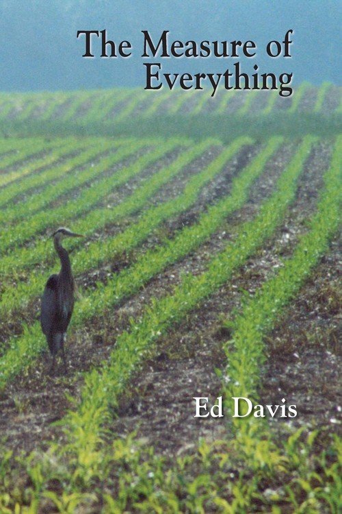 The Measure of Everything - Davis Ed | Książka w Empik