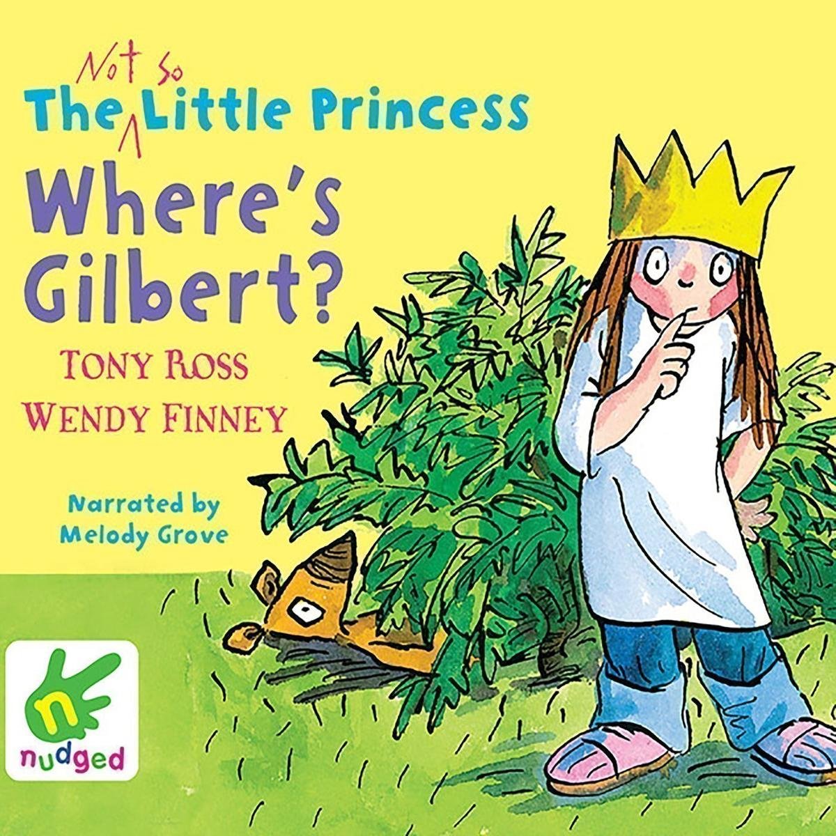 The Not So Little Princess - audiobook - Wendy Finney | Audiobook Sklep ...