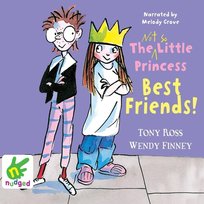 The Not So Little Princess - audiobook - Wendy Finney | Audiobook Sklep ...
