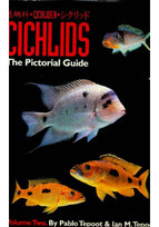 The Pictorial Guide - | Książka w Empik