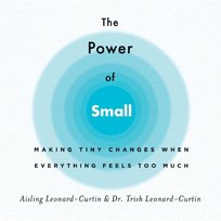 The Power of Small: Making Tiny Changes When Everything Feels Too Much ...