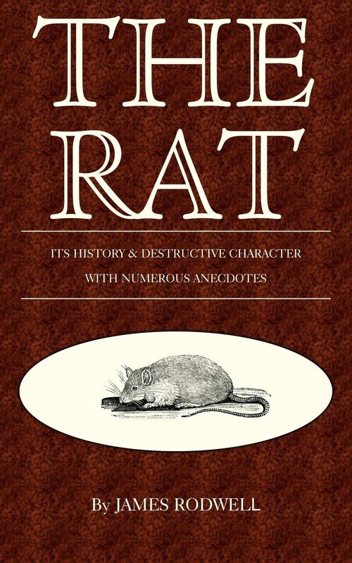 The Rat; Its History & Destructive Character - Rodwell James | Książka ...