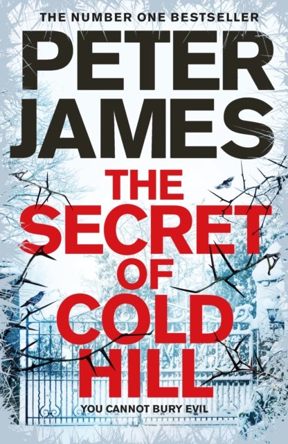 The Secret of Cold Hill - James Peter | Książka w Empik