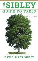 The Sibley Guide to Trees - Sibley David Allen | Książka w Empik