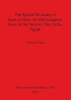 The Spatial Structure of Kom el-Hisn - Cagle Anthony | Książka w Empik