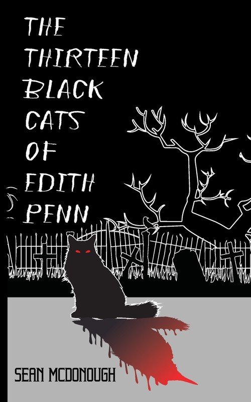 The Thirteen Black Cats of Edith Penn - Sean McDonough | Książka w Empik