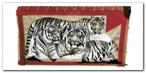 Tiger Trio plakat obraz 100x50cm - Wizard+Genius | Sklep EMPIK.COM