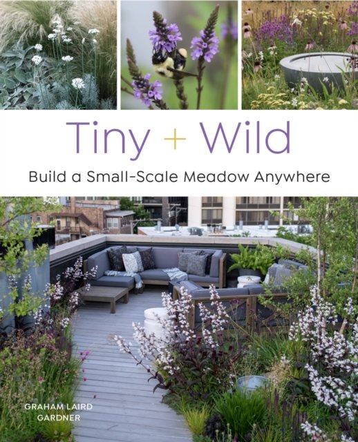 Tiny and Wild: Build a Small-Scale Meadow Anywhere - Quarto Publishing ...