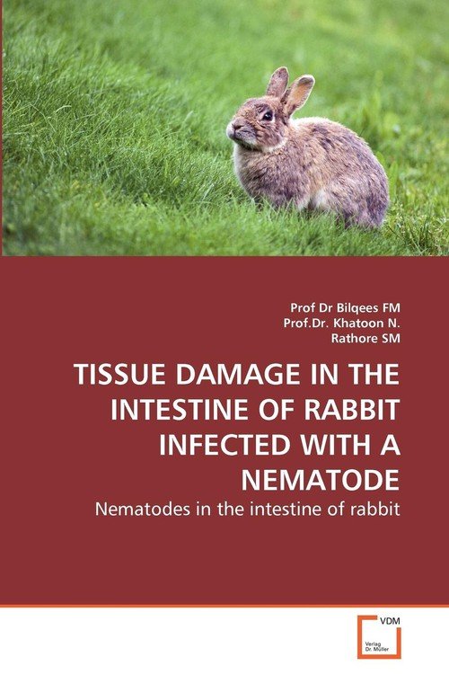 Tissue Damage In The Intestine Of Rabbit Infected With A Nematode - FM ...