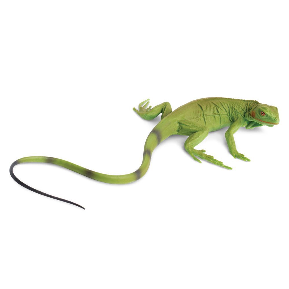 Toob Green Iguana Baby, Multi - Safari | Sklep EMPIK.COM