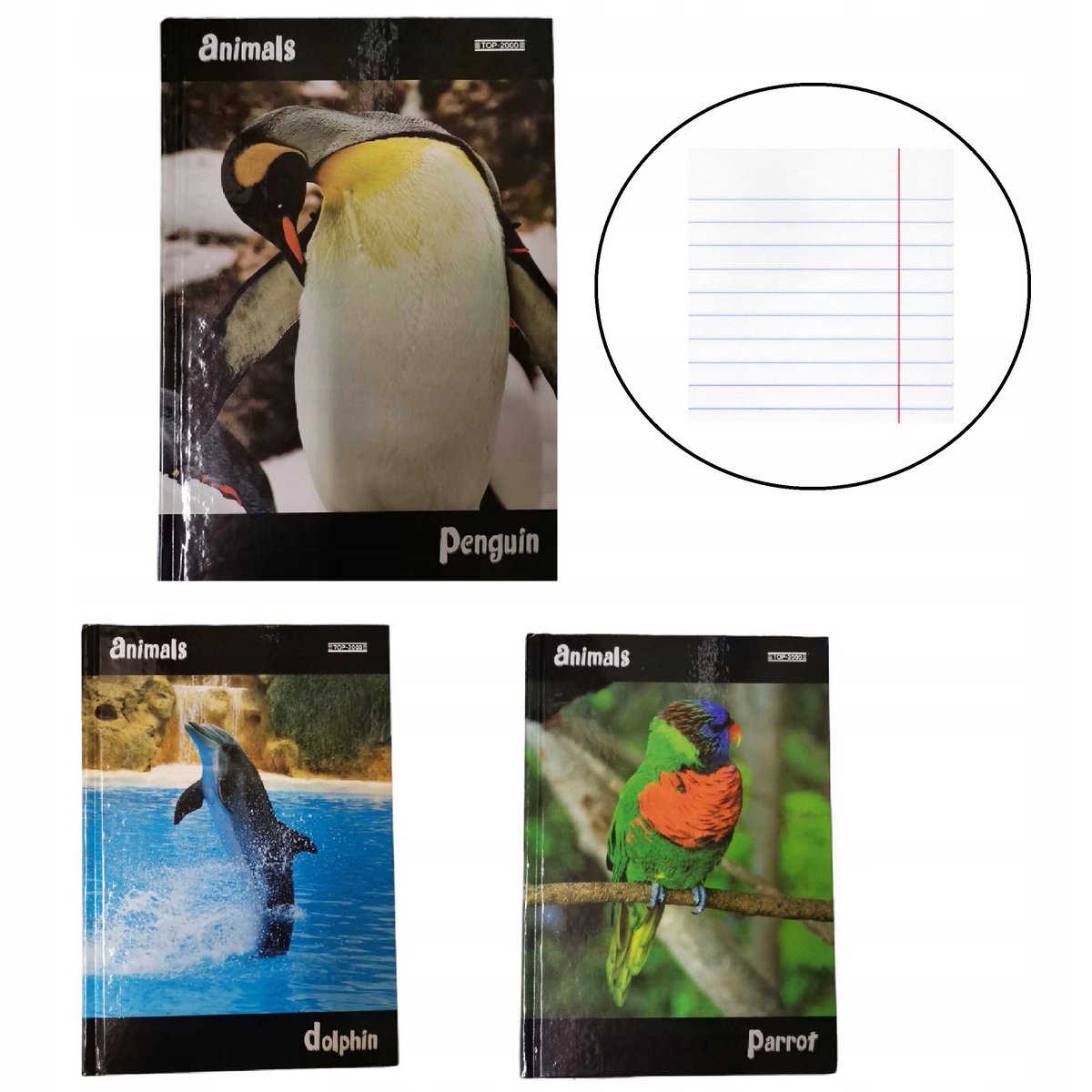 ! TOP BRULION ANIMALS A5/ 96 LINIA 1 SZT - Top 2000 | Sklep EMPIK.COM