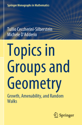 Topics in Groups and Geometry - Springer, Berlin | Książka w Empik