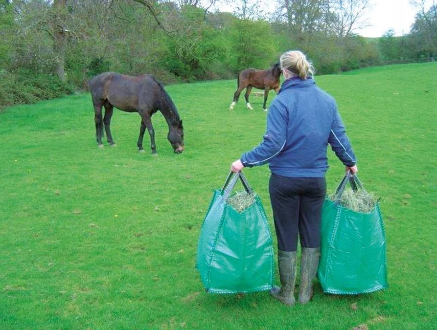 Torba ogrodowa GoBag, 270 l, zielony, Kerbl - Inna marka | Sklep EMPIK.COM