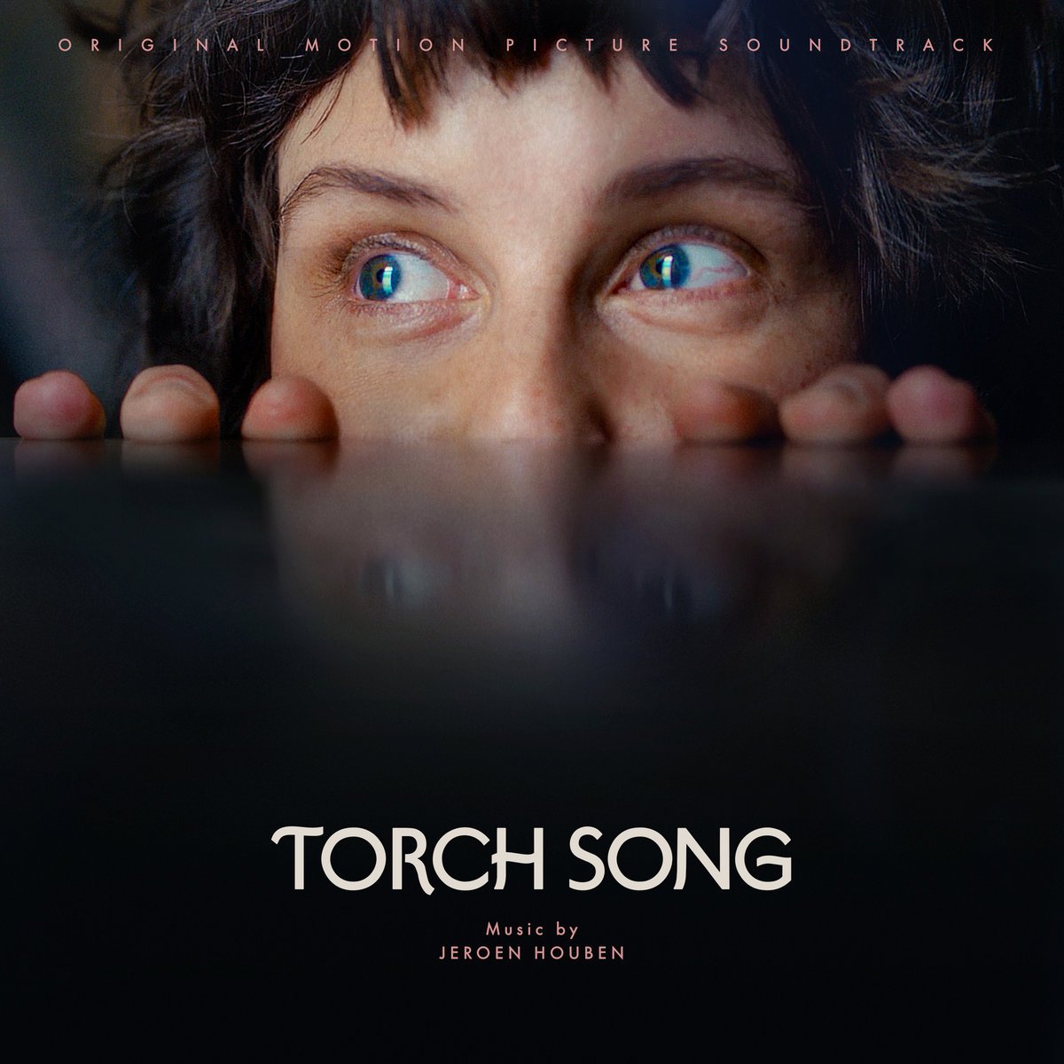 Torch Song - Houben Steve | Muzyka Sklep EMPIK.COM