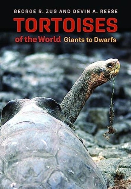 Tortoises of the World - Devin A. Reese | Książka w Empik