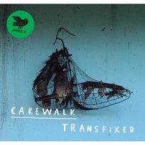 Transfixed - Cakewalk | Muzyka Sklep EMPIK.COM