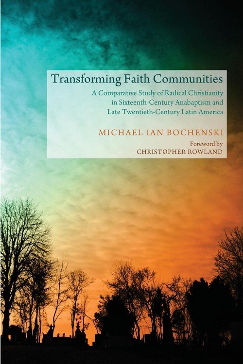 Transforming Faith Communities - Bochenski Michael Ian | Książka w Empik