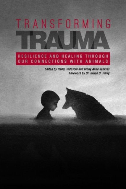 Transforming Trauma: Resilience and Healing Through Our Connections ...