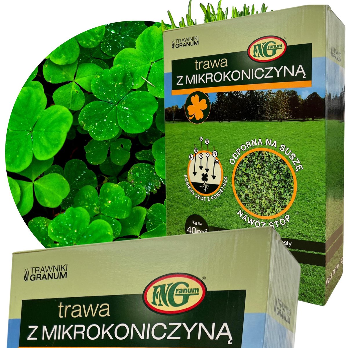 TRAWA NASIONA Trawnik z mikrokoniczyną Odporny na suszę 1 KG 40m² - GRANUM | Sklep EMPIK.COM