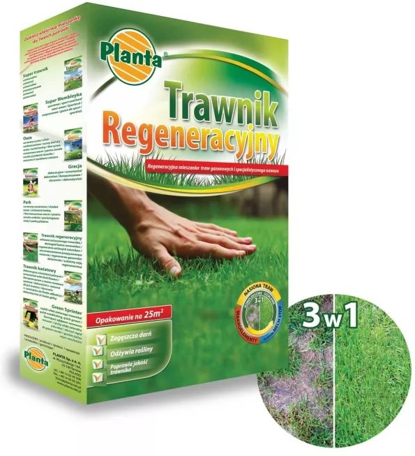 Trawnik regeneracyjny z nawozem 1 kg - Planta | Sklep EMPIK.COM