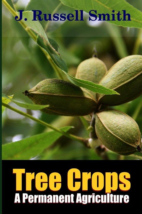 Tree Crops, A Permanent Agriculture - Smith J. Russell | Książka w Empik