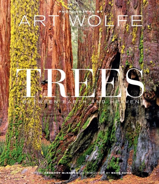 Trees. Between Earth and Heaven - Art Wolfe | Książka w Empik