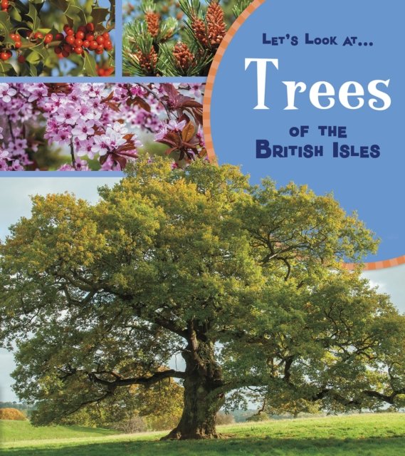 Trees of the British Isles - Lucy Beevor | Książka w Empik