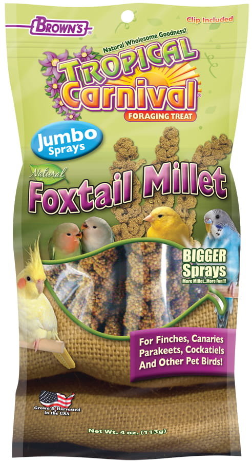 Tropical Carnival Natural Foxtail Millet Jumbo Sprays - Proso dla ...