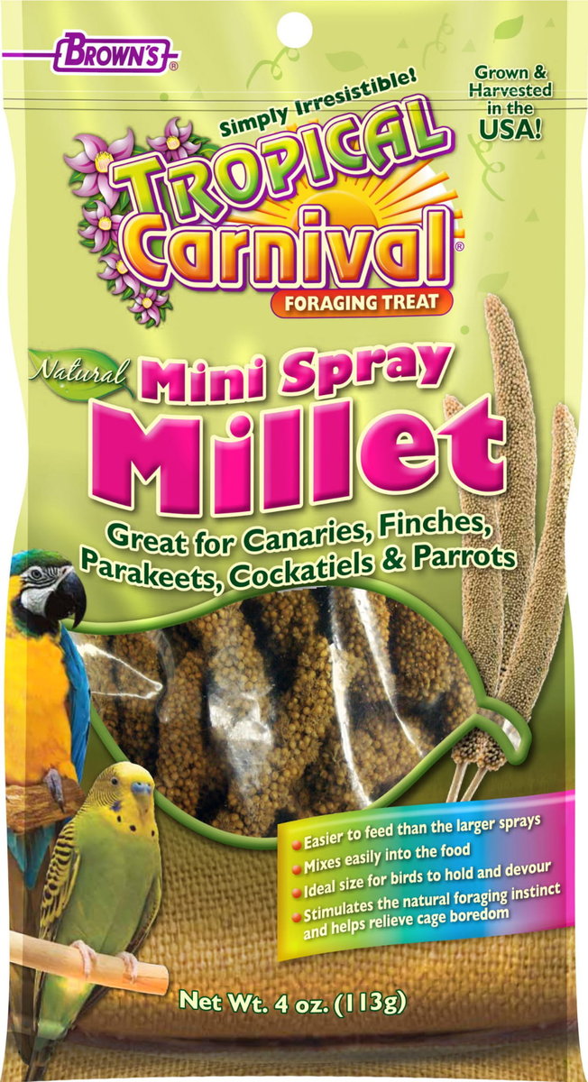 Tropical Carnival Natural Mini Spray Millet - Proso dla wszystkich ...
