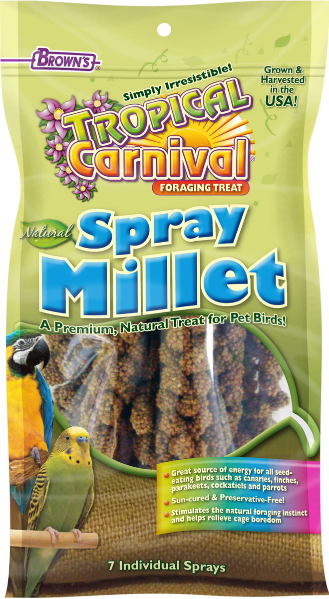 Tropical Carnival Natural Spray Millet - 7 gałązek prosa dla wszystkich ...