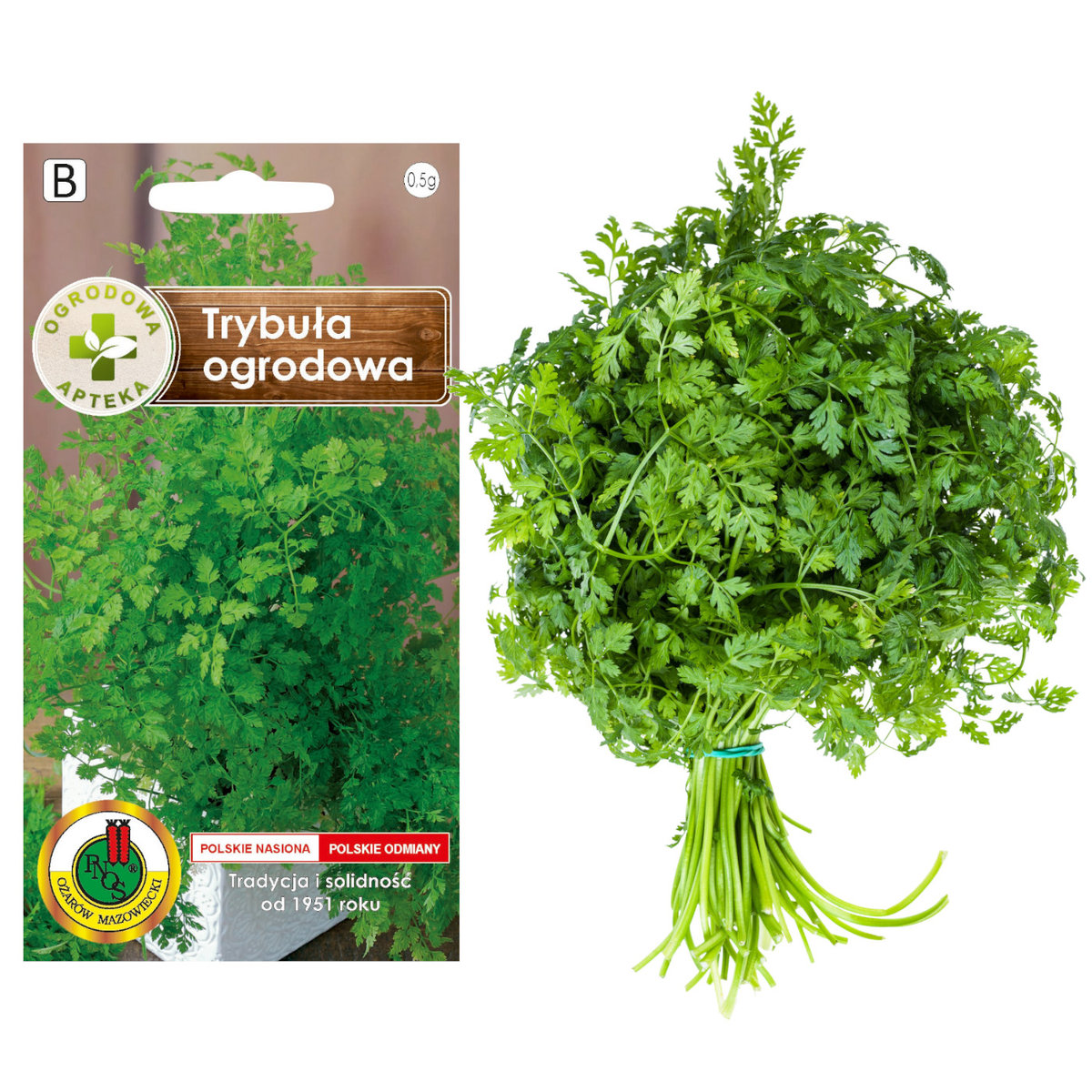 TRYBUŁA OGRODOWA COMMUN ZIOŁA NASIONA ZIÓŁ BEZ GMO - PNOS | Sklep EMPIK.COM