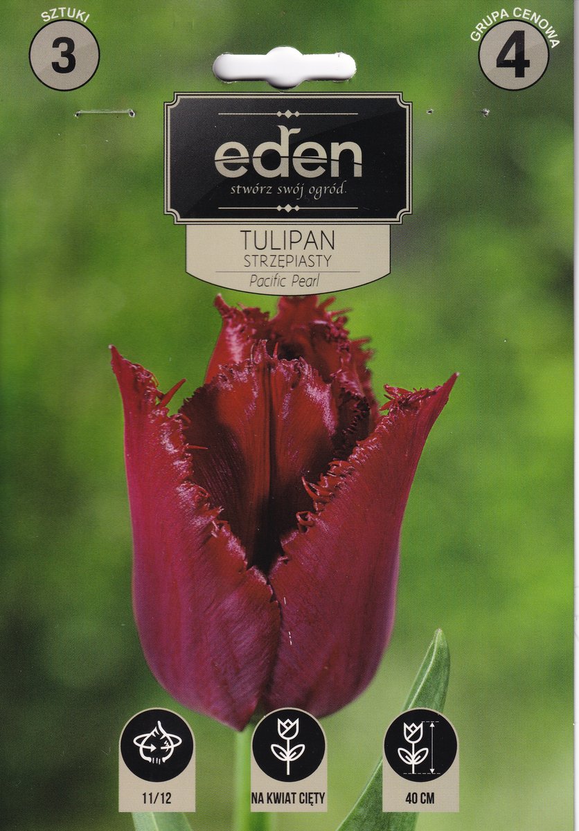 Tulipan Pacific Pearl cebulki 3szt EDEN - Inna marka | Sklep EMPIK.COM