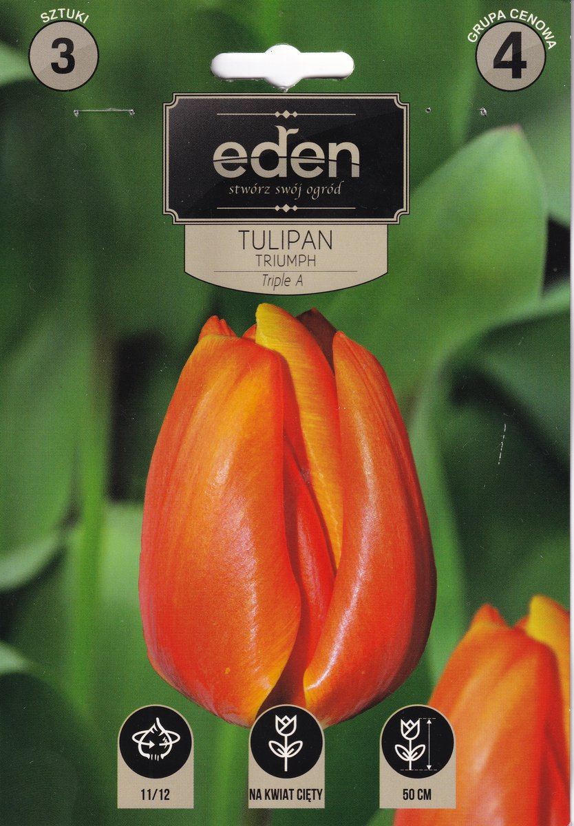 Tulipan Triple A cebulki 3szt EDEN - Inna marka | Sklep EMPIK.COM