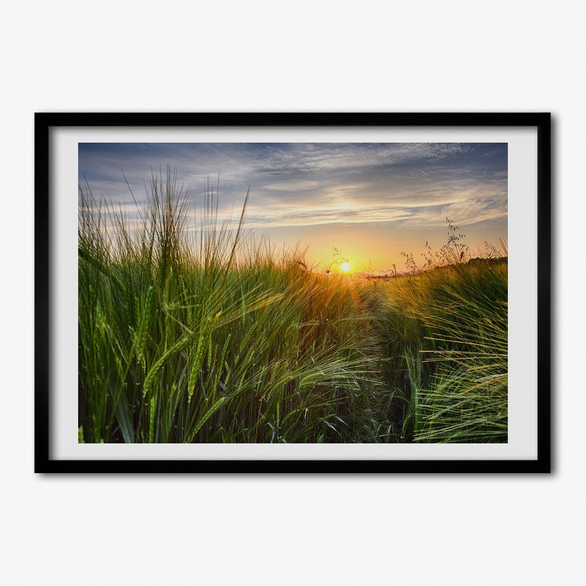 Tulup, Foto obraz ścienny z ramą MDF Pole pszenicy, 70x50 cm - Tulup ...